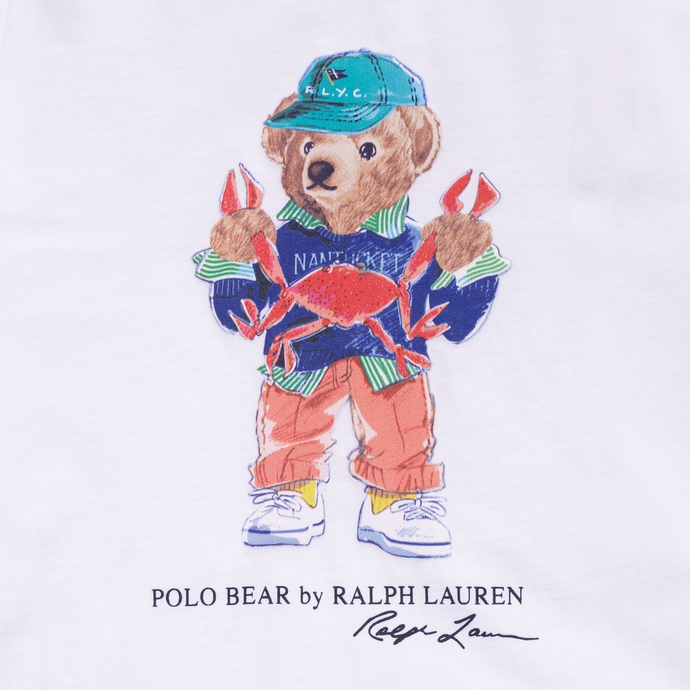polo bear wallpaper